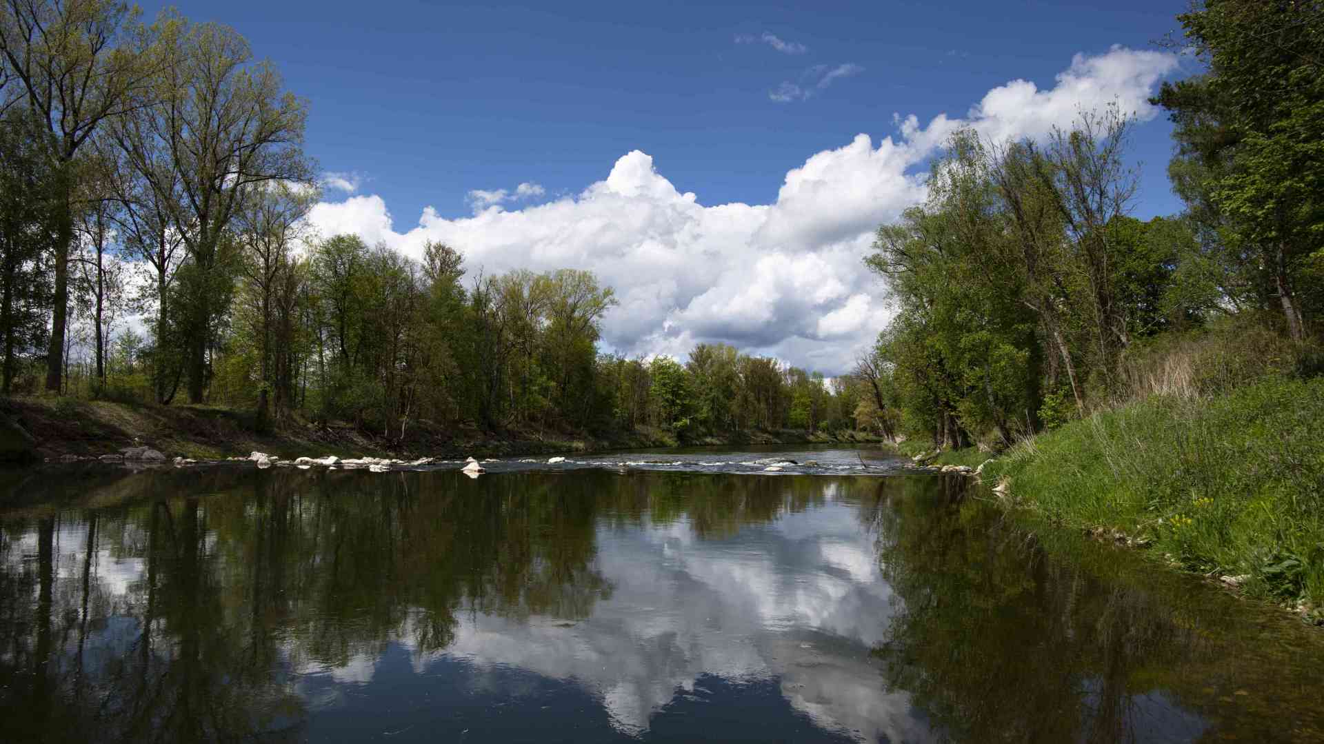 Besucher - Gemeinde Hallbergmoos