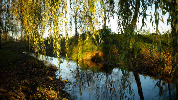 Startseite - Gemeinde Hallbergmoos