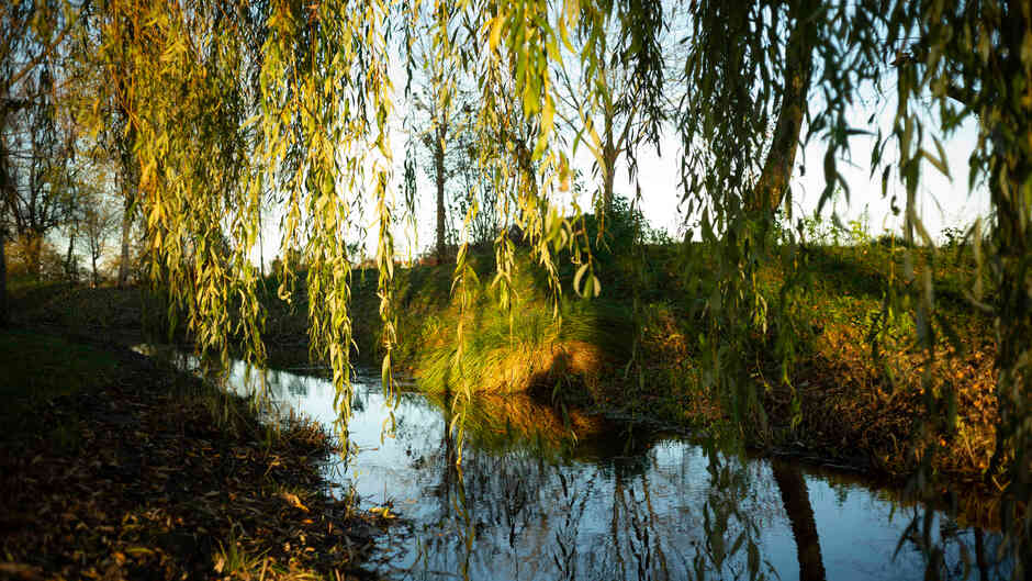 Besucher - Gemeinde Hallbergmoos
